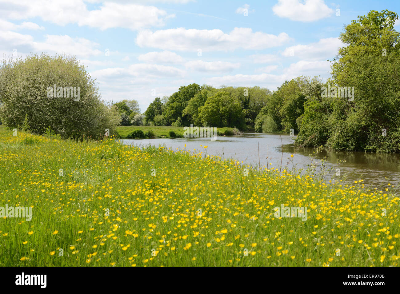 River medway hi-res stock photography and images - Alamy