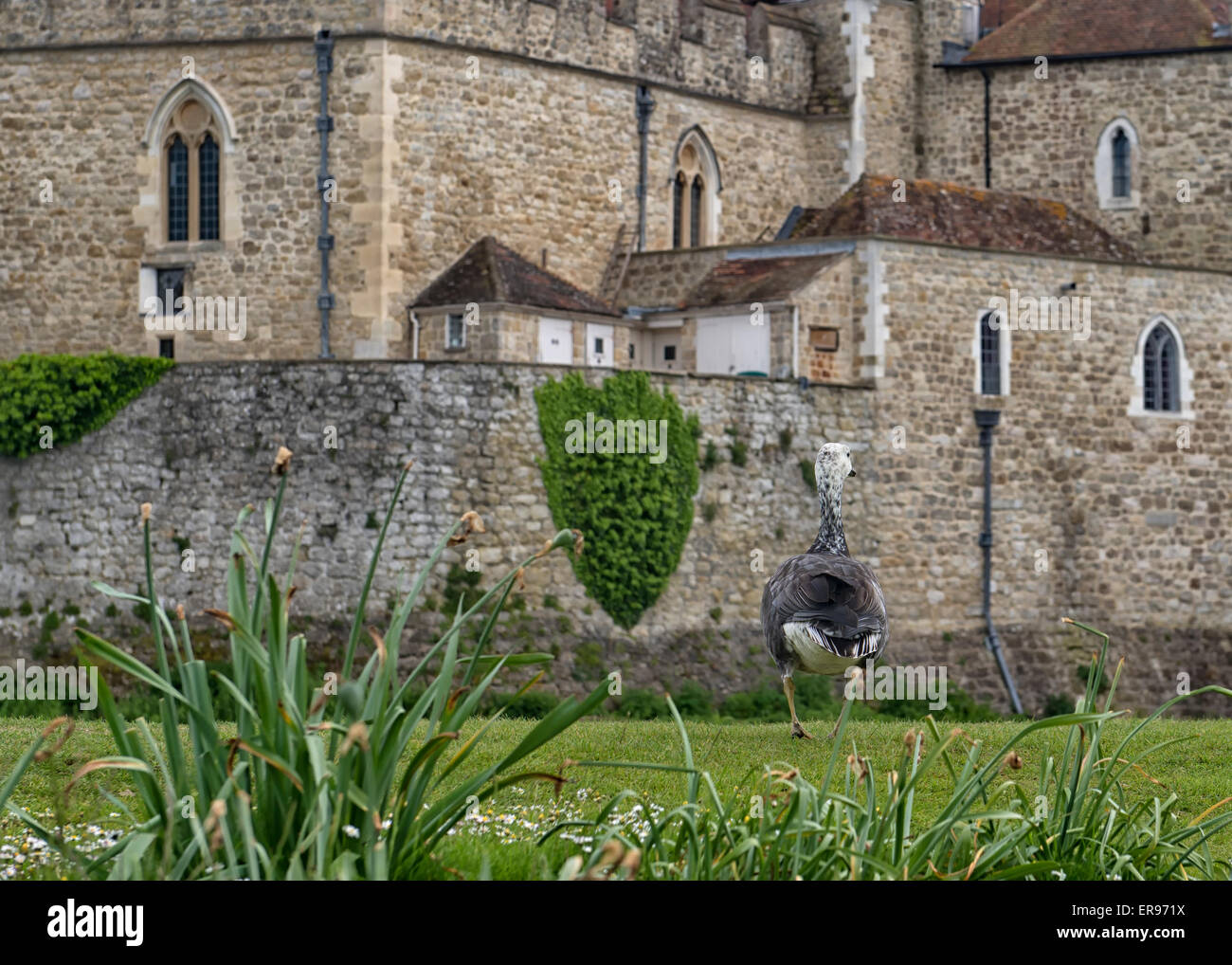 Leeds Castle in Kent, England UK Stock Photo - Alamy