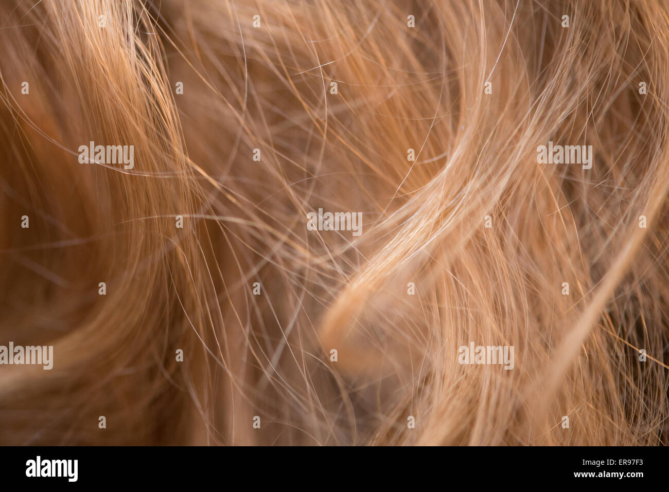 Hair colour chart hi-res stock photography and images - Alamy