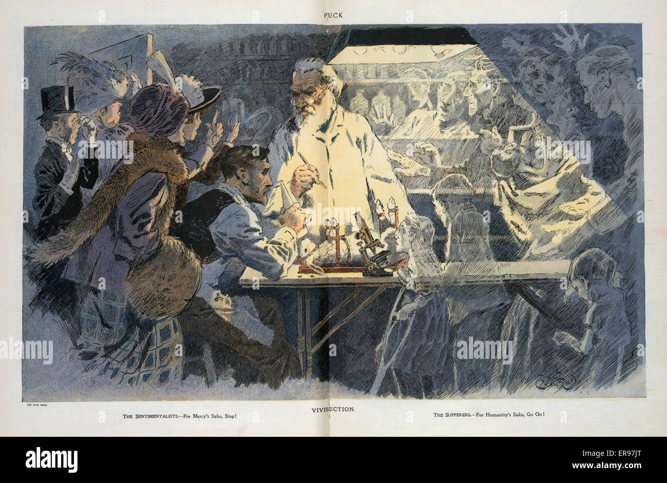 Vivisection hi-res stock photography and images - Alamy