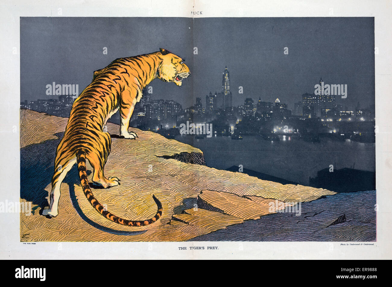 Tammany tiger hi-res stock photography and images - Alamy