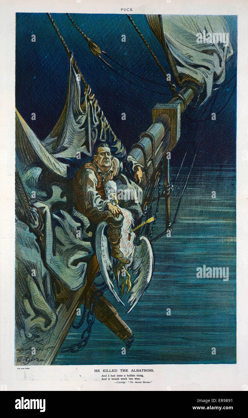 Illustration albatross hi-res stock photography and images - Alamy