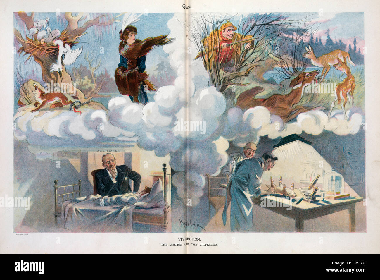 Vivisection hi-res stock photography and images - Alamy