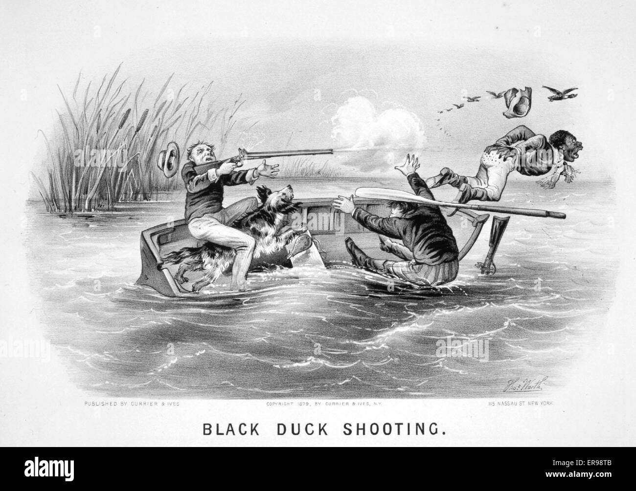 Black duck shooting Stock Photo - Alamy