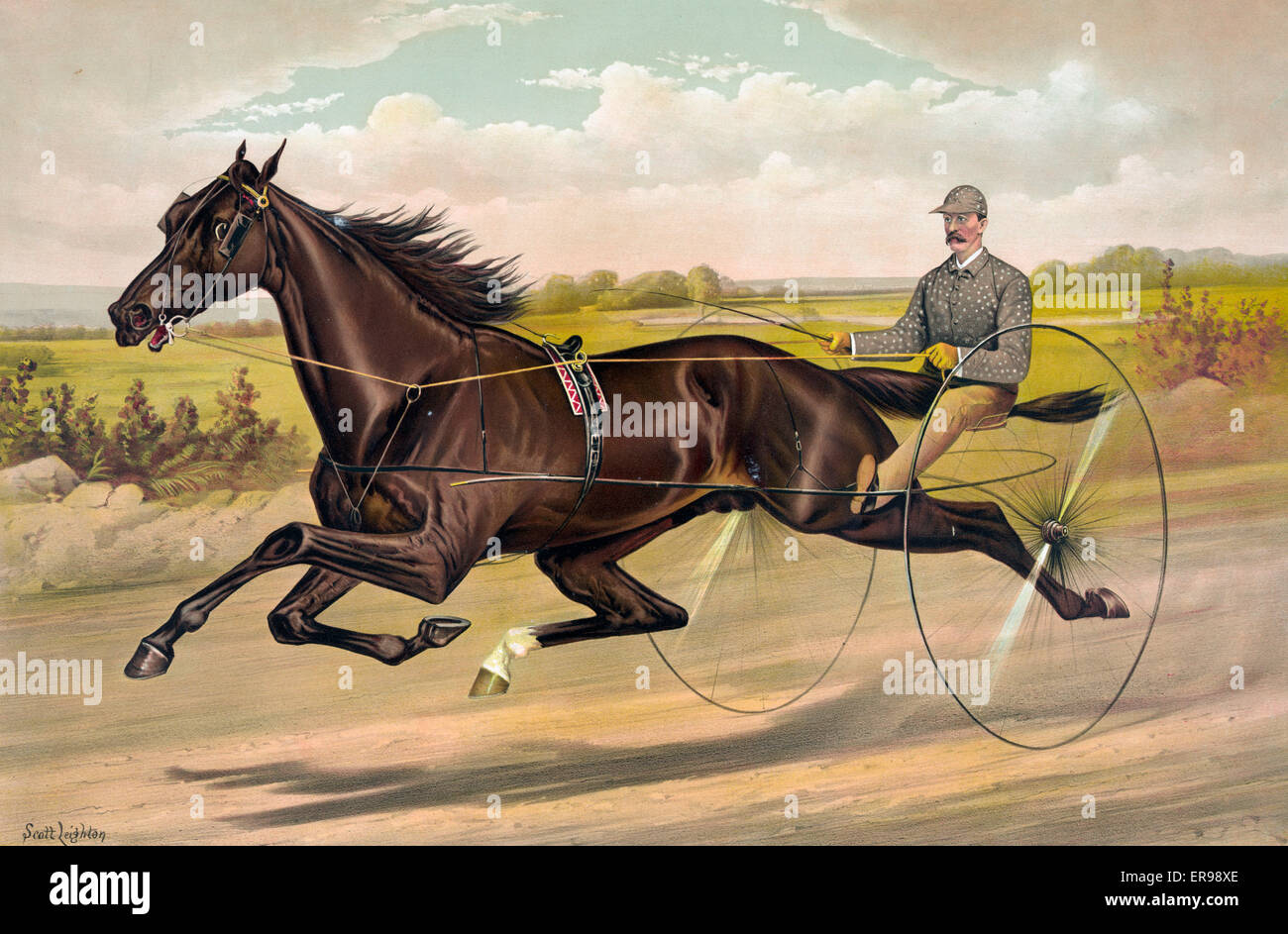 Celebrated stallion hi-res stock photography and images - Alamy