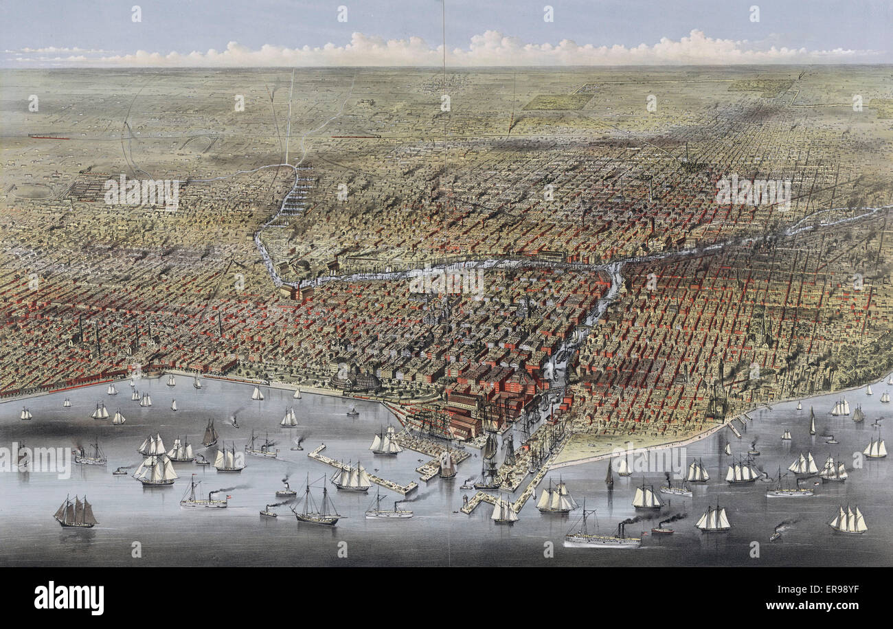 Chicago Birds High Resolution Stock Photography and Images - Alamy