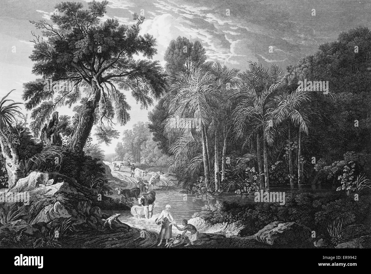 A view in the Island of Jamaica, of the spring-head of Roari Stock ...