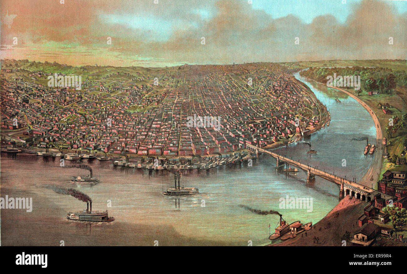 Birds Of St Louis Mo | semashow.com