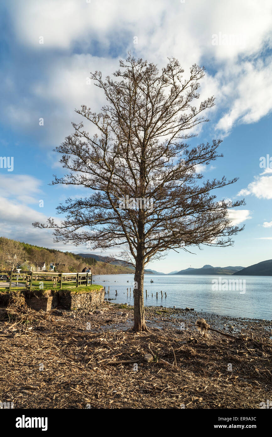 Loch Ness at Dores village in Scotland Stock Photo - Alamy