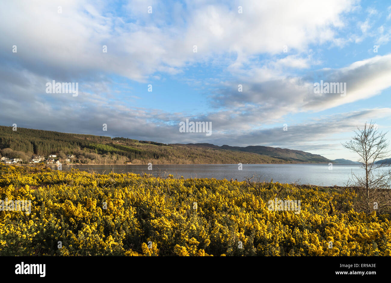 Loch Ness at Dores in Scotland Stock Photo - Alamy
