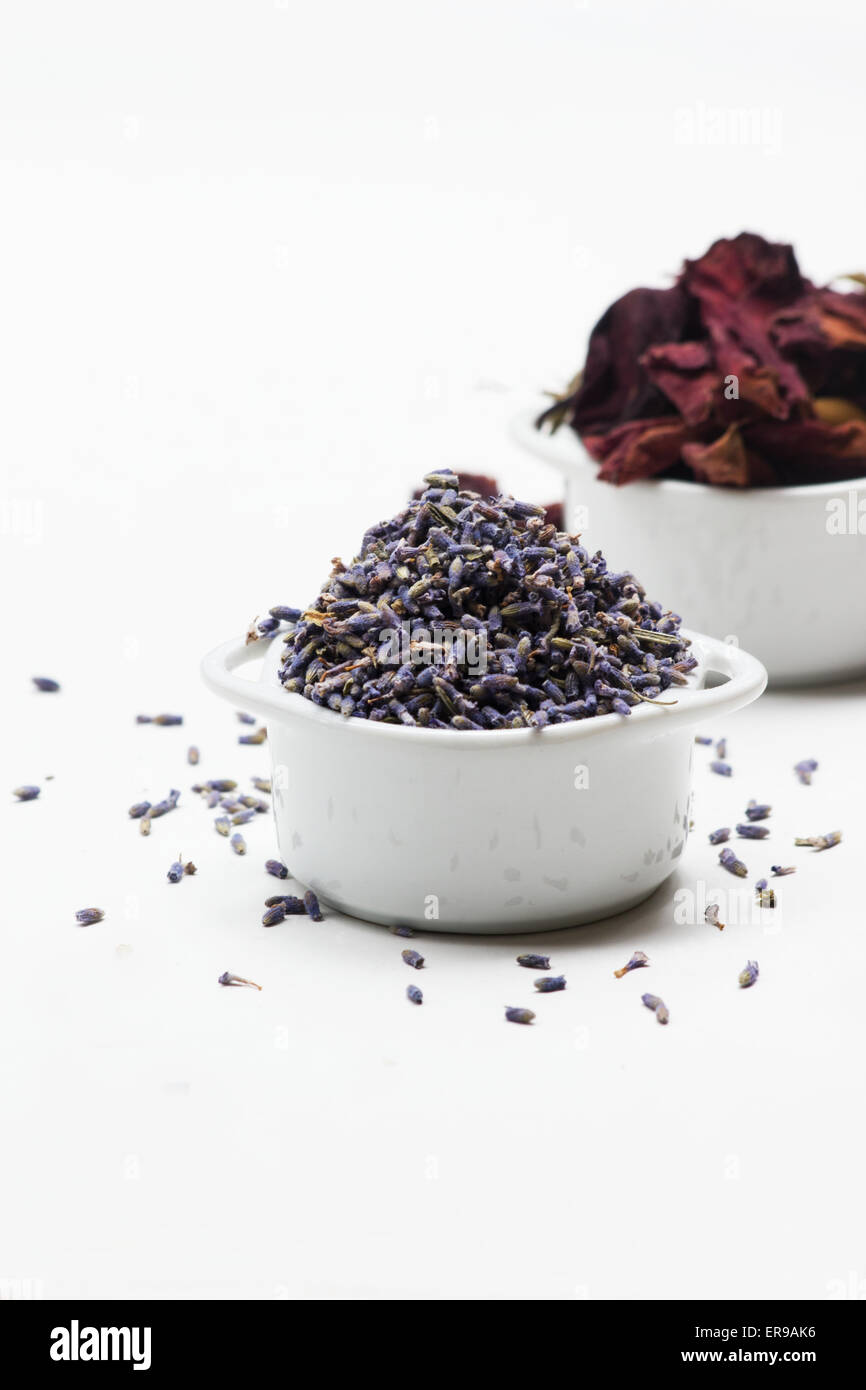 Lavender rose hi-res stock photography and images - Alamy