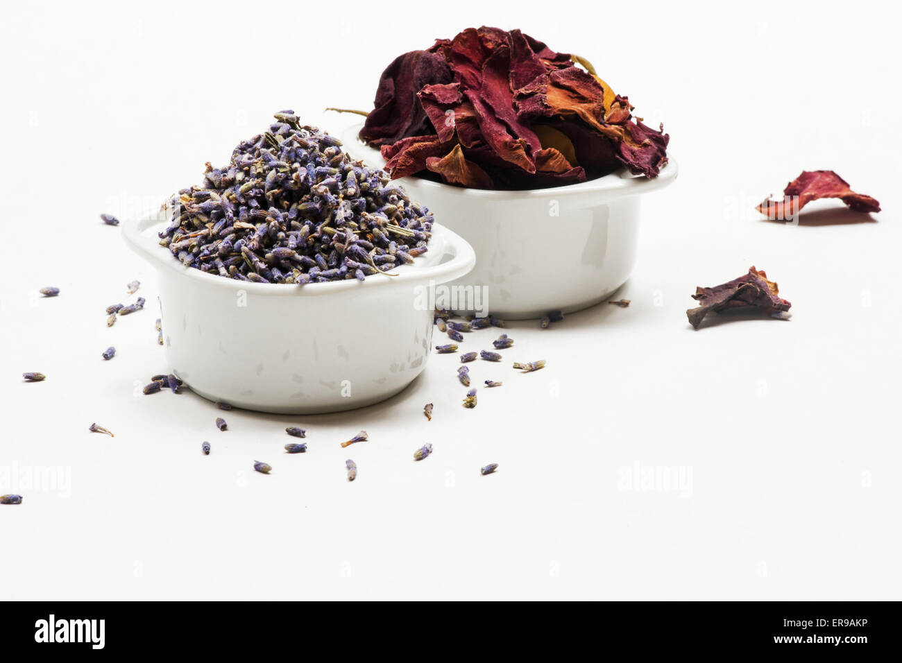 Lavender rose hi-res stock photography and images - Alamy