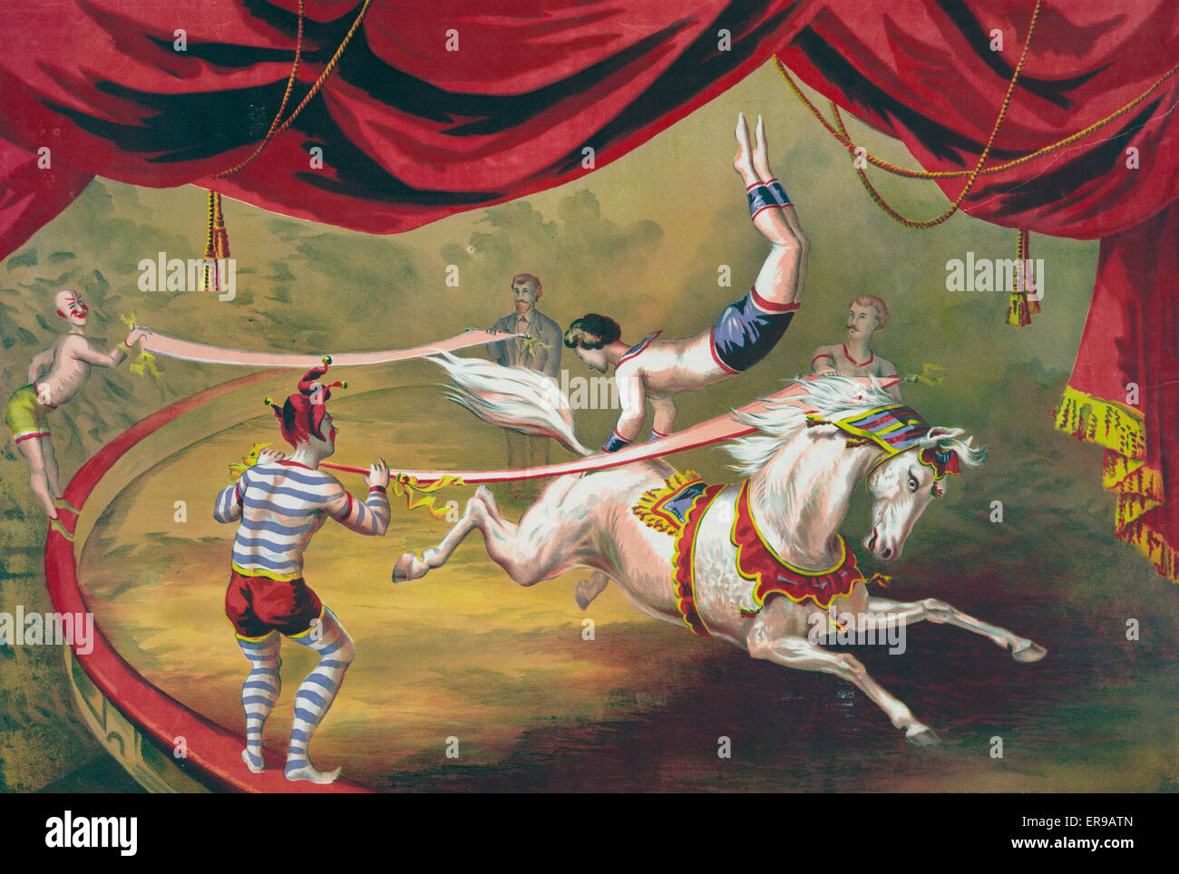 Circus act horse hi-res stock photography and images - Alamy