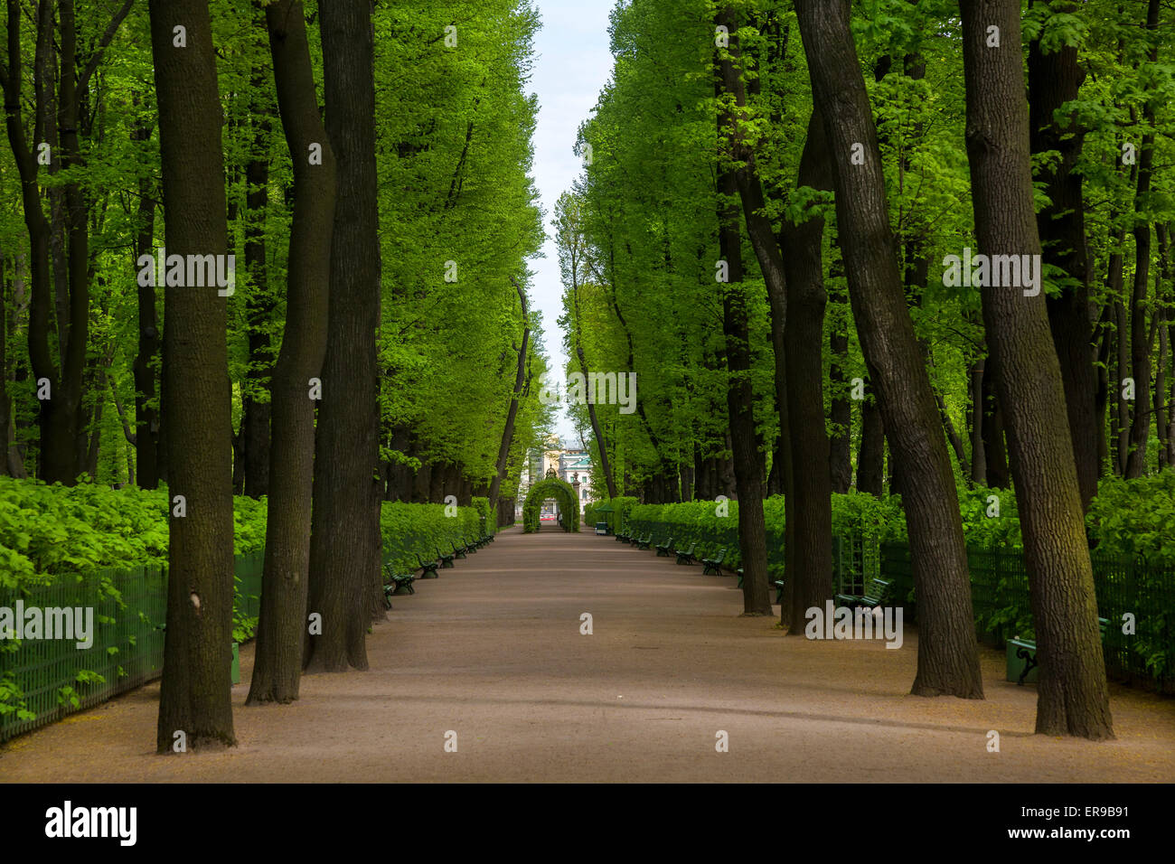 Alley in The summer garden (Letniy sad) park center of Saint-Petersburg ...