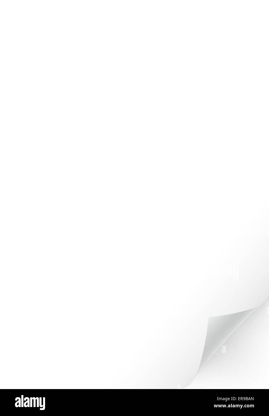 Blank white vertical page Stock Vector Image & Art - Alamy