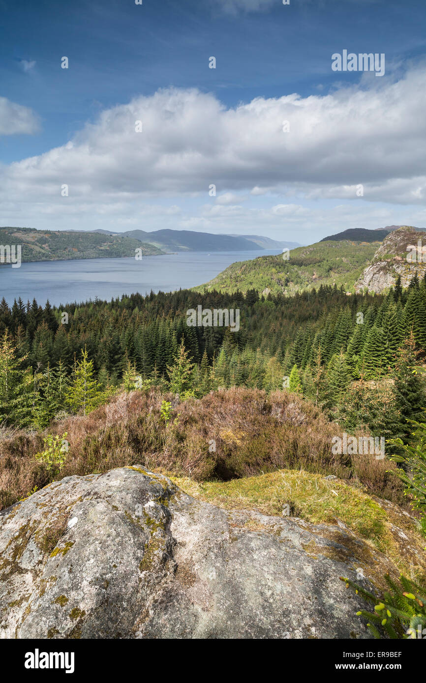 Farigaig forest scotland hi-res stock photography and images - Alamy