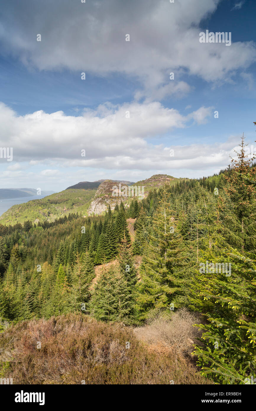 Farigaig forest scotland hi-res stock photography and images - Alamy