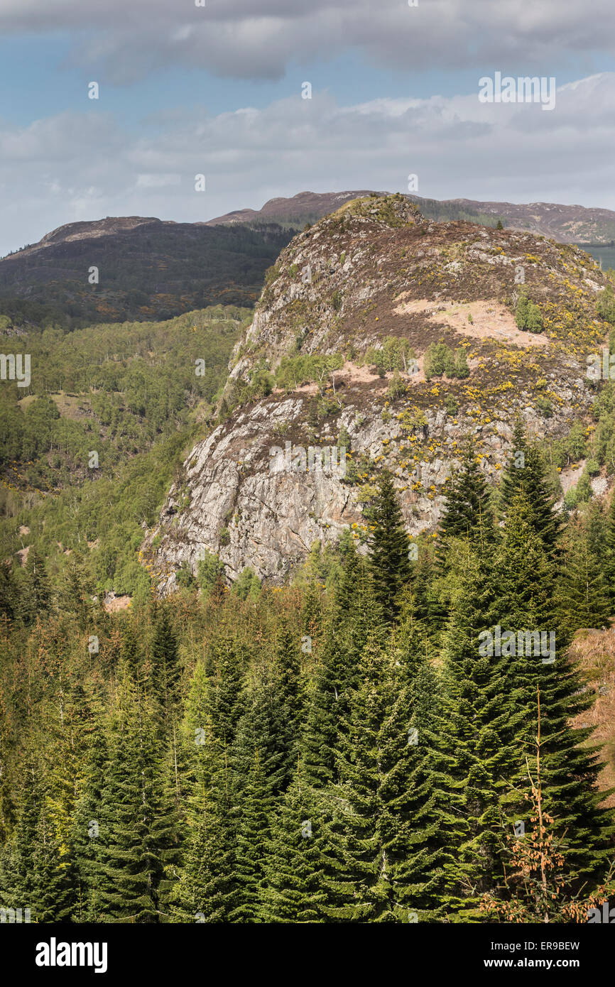 Dun Dearduil and forest at Inverfarigaig in Scotland Stock Photo - Alamy