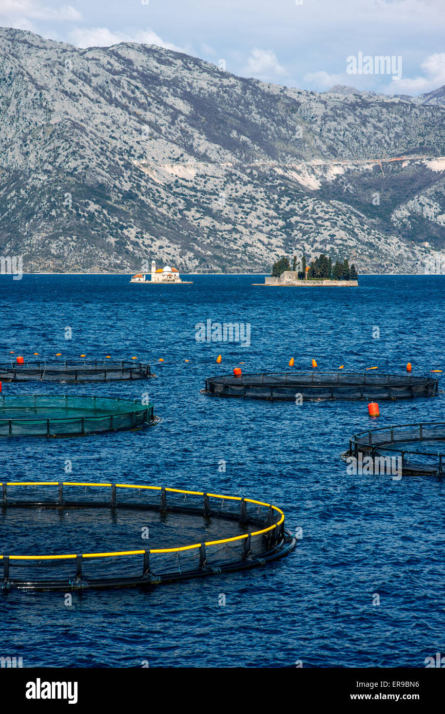 Aqua fish farming hi-res stock photography and images - Alamy