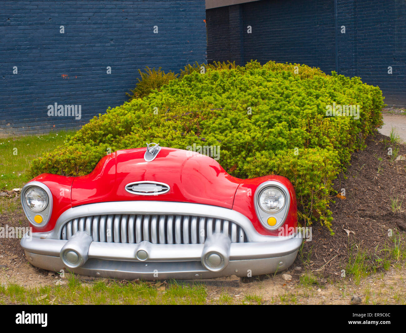 A car garden Stock Photo - Alamy