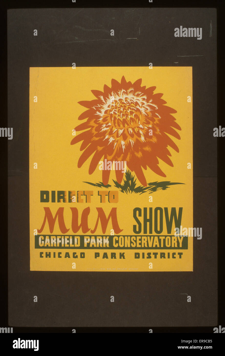Direct to mum show, Garfield Park Conservatory Stock Photo - Alamy