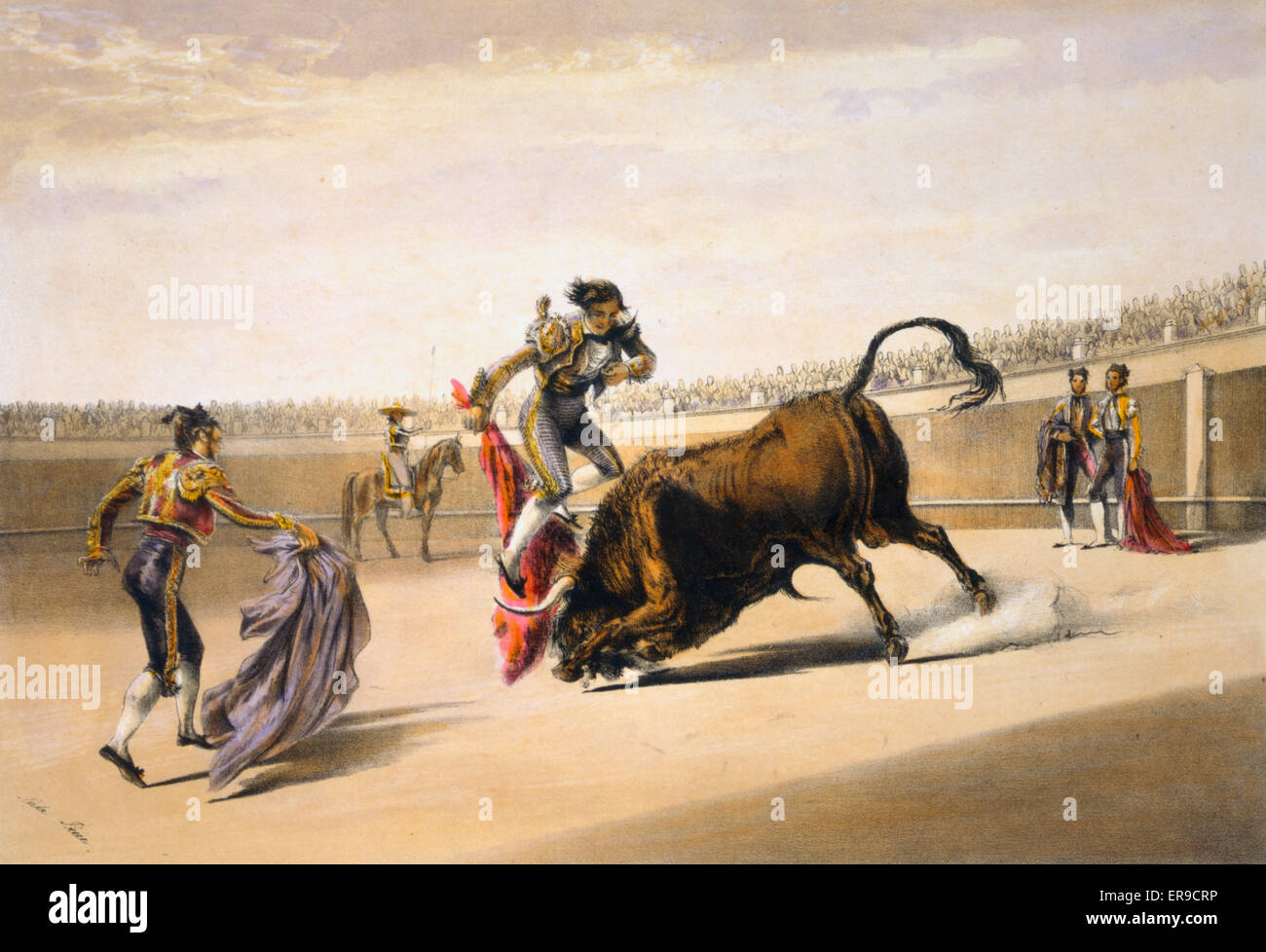 Bullfighting and bull leaping hi-res stock photography and images - Alamy