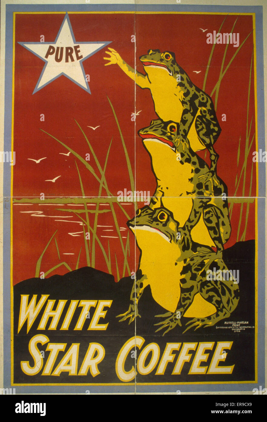 Pure white star coffee Stock Photo - Alamy