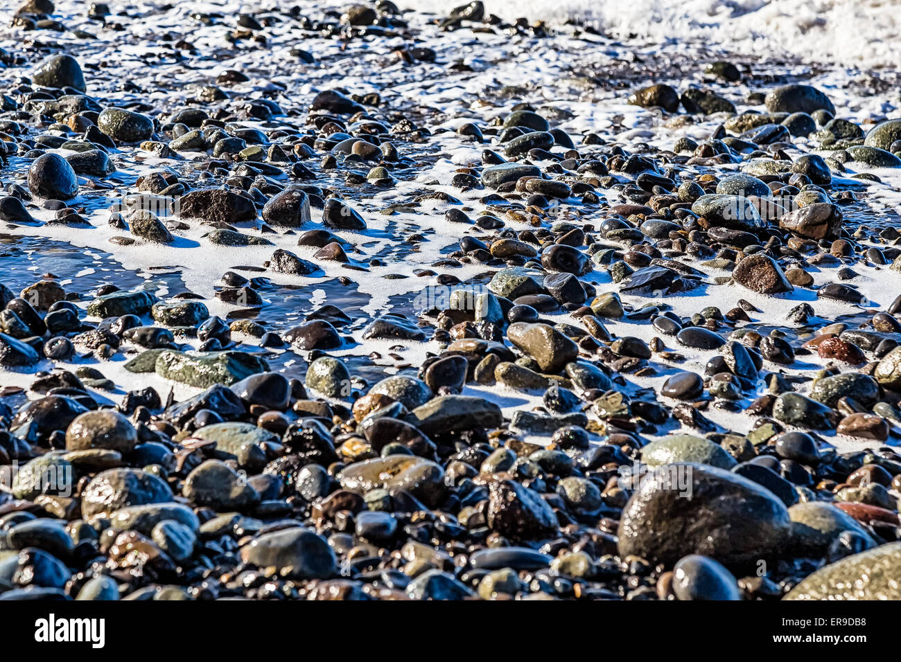 Stones with foam on the beach coast of ocean or sea Stock Photo - Alamy