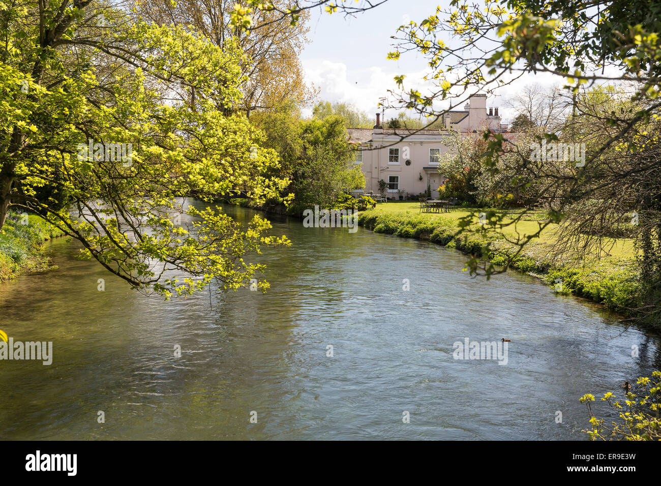 River Test at Stockbridge, Hampshire, England, UK Stock Photo - Alamy