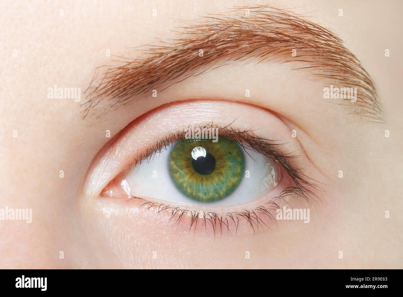 Human, green healthy eye macro Stock Photo - Alamy