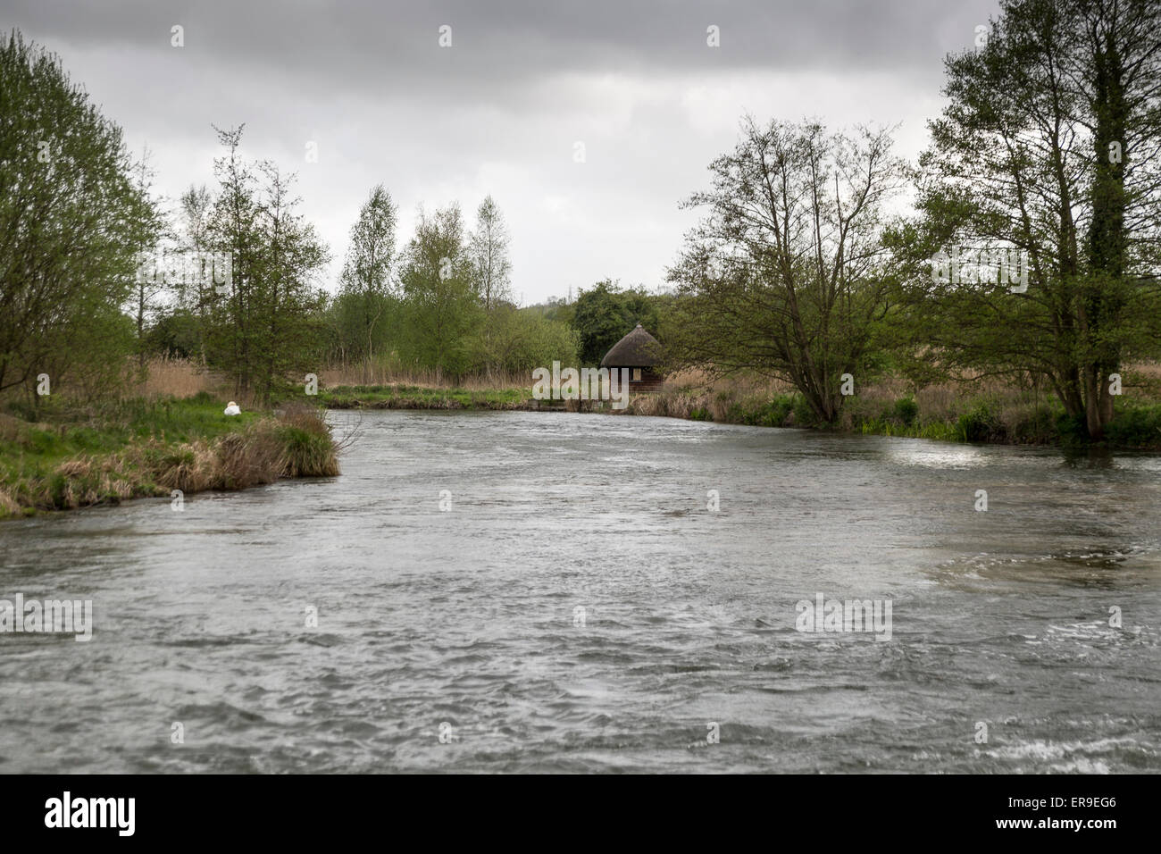 River Test at Leckford, Hampshire, England, UK Stock Photo - Alamy