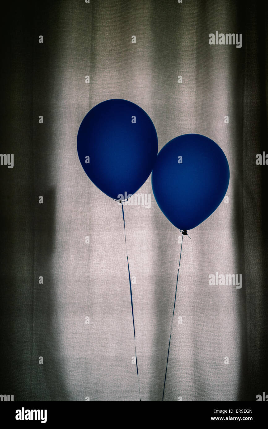 Two blue balloons floating in front of grey drapes in the morning light ...