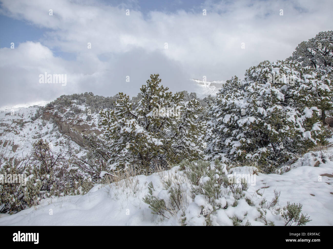 Utah mountains hi-res stock photography and images - Alamy