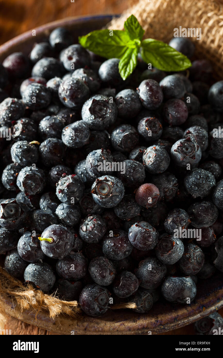 Fresh Raw Organic Blueberries in a Bowl Stock Photo - Alamy