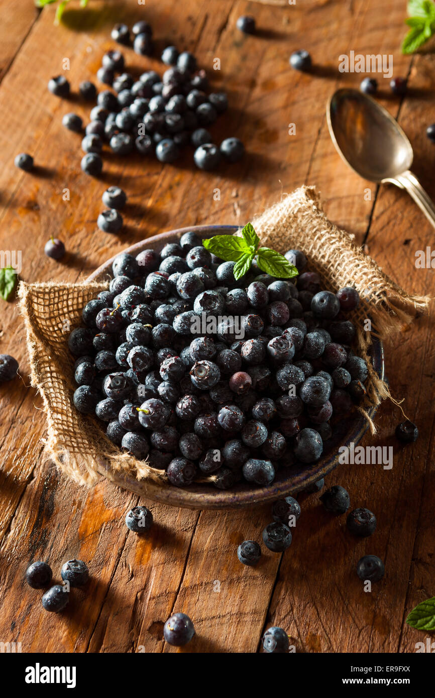 Blueberries hi-res stock photography and images - Alamy