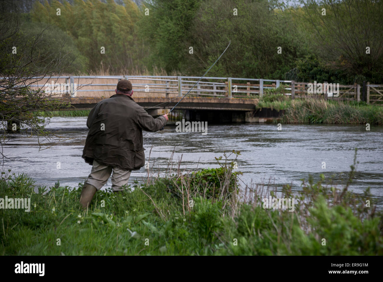 Fisherman casting, River Test at Leckford, Hampshire, England, UK Stock ...