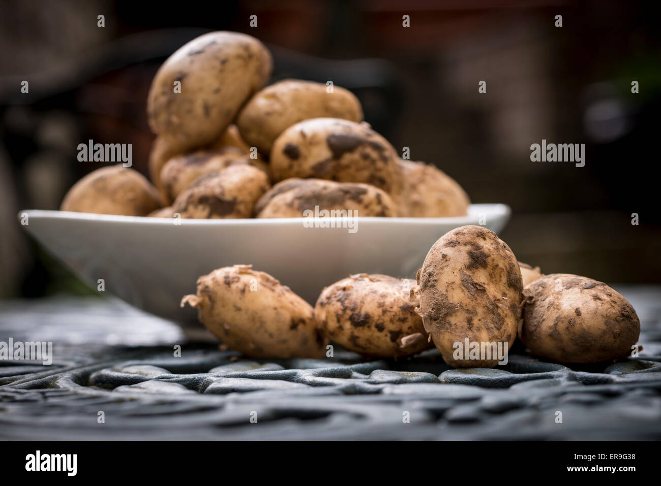 Freshly harvested potatoes Stock Photo - Alamy