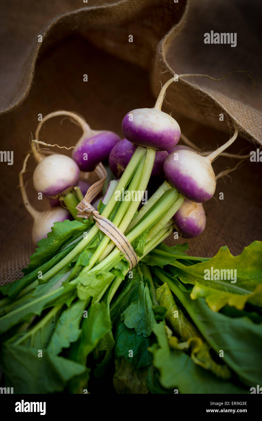 Turnips, close up Stock Photo - Alamy