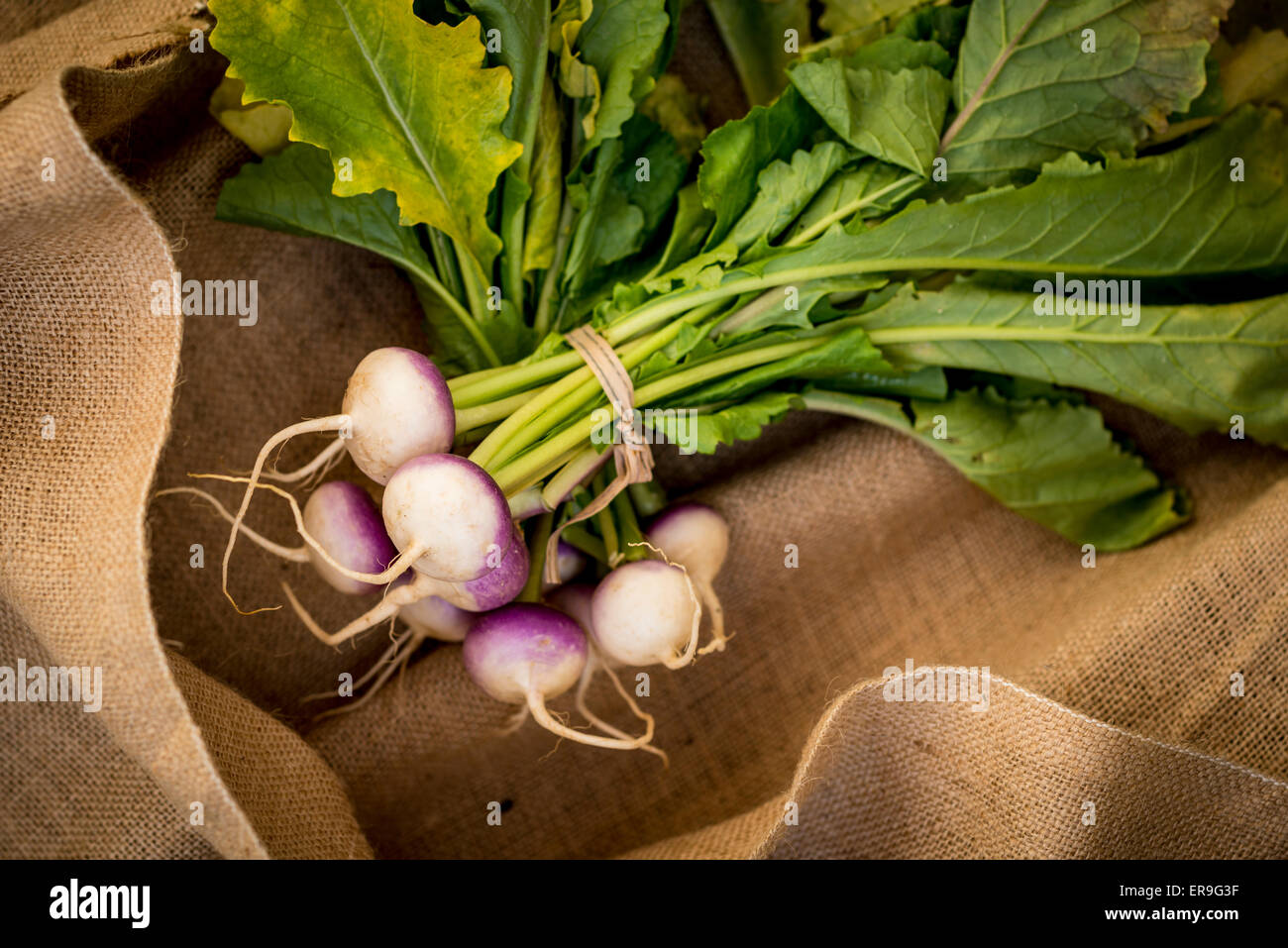 Bunch of turnips Stock Photo - Alamy