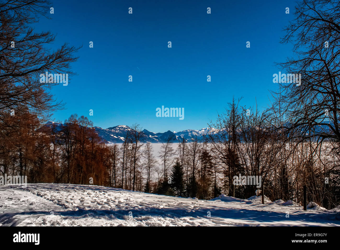 Nature above clouds in Lucerne, Switzerland Stock Photo - Alamy