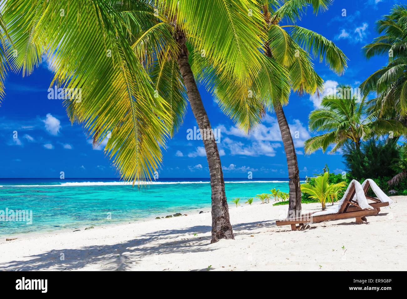 Beach beds under coconut palm trees with an ocean view, Rarotonga, Cook ...