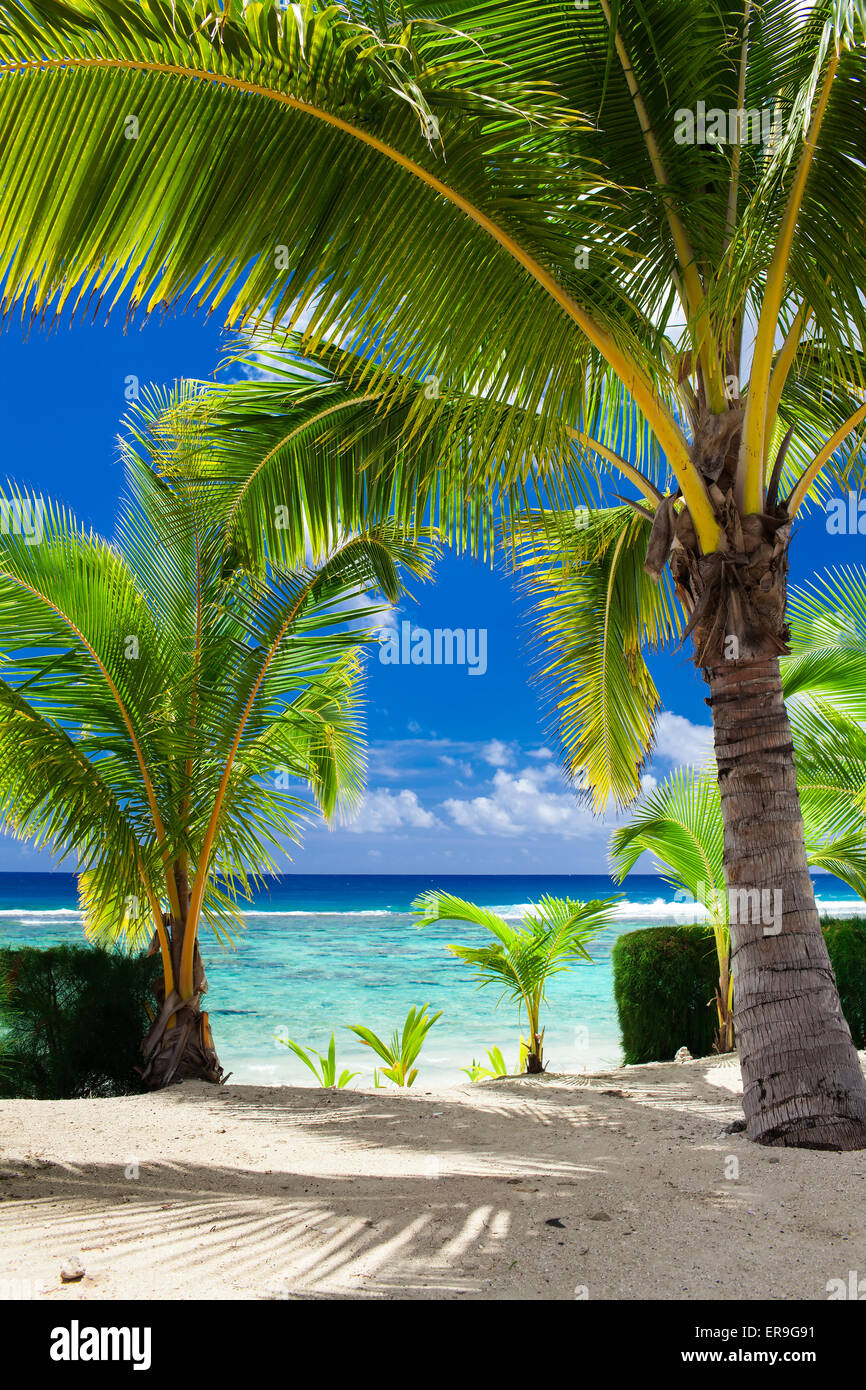 Maldives cook islands maldives fiji hi-res stock photography and images ...