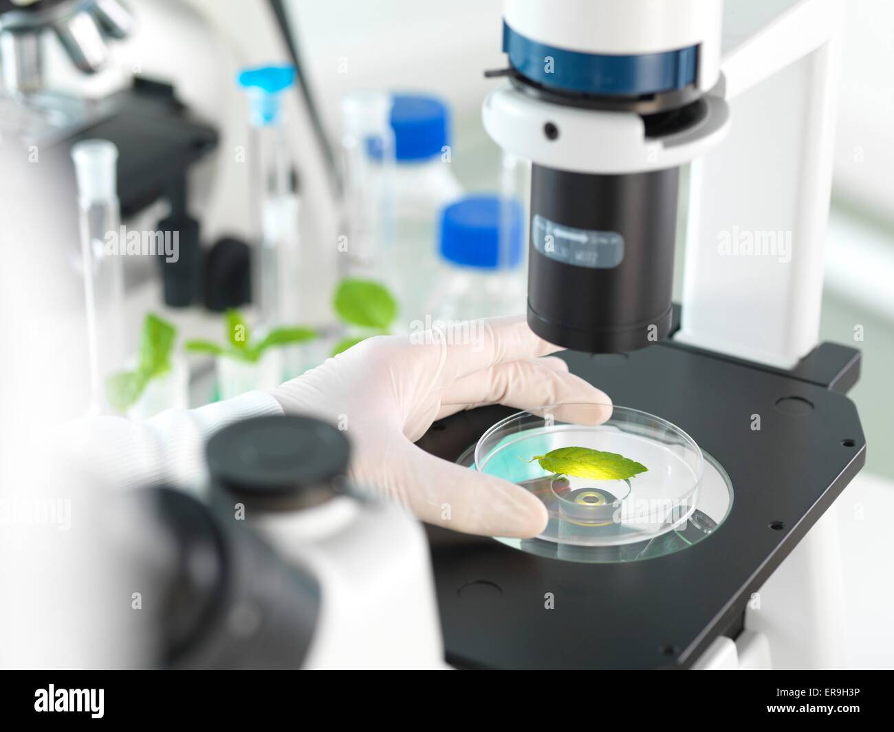 Inverted microscope hi-res stock photography and images - Alamy