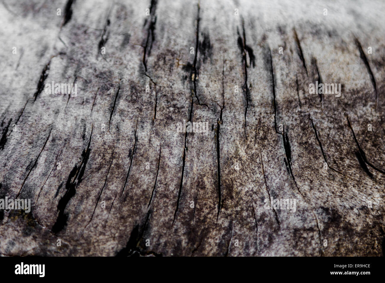 close up old timber texture Stock Photo - Alamy