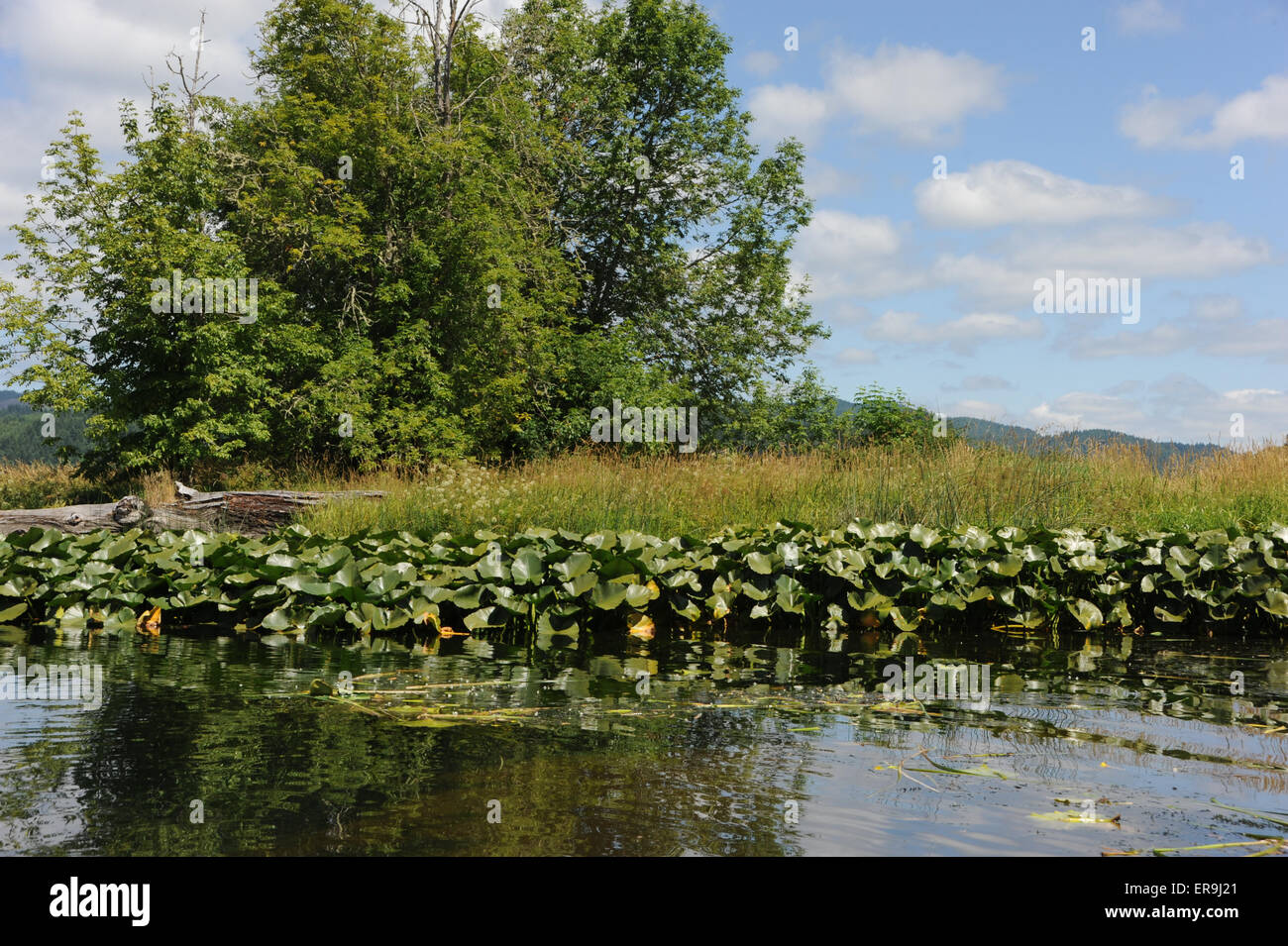 Triangle Lake, Lane County, Oregon, USA - Lake Scenes, Clear Day, White ...