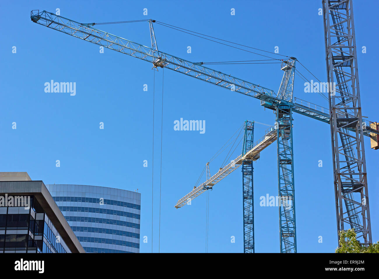 Multiple construction cranes work side by side Stock Photo - Alamy