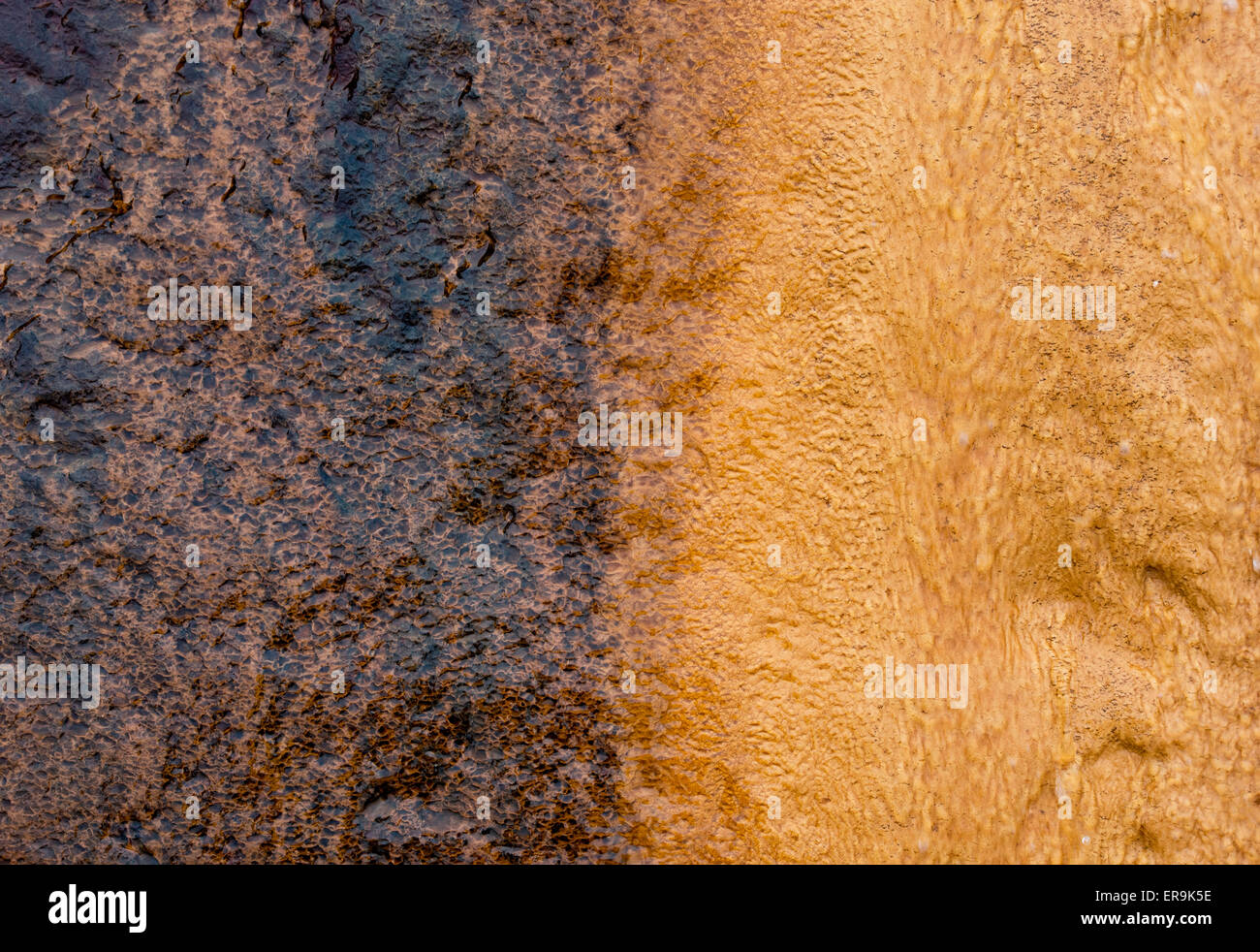 Spittal Beach Sandstone rock strata and water. Spittal, Berwick upon ...