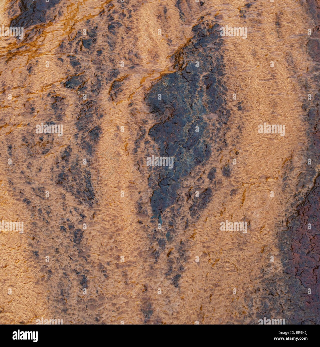 Spittal Beach Sandstone rock strata and water. Spittal, Berwick upon ...