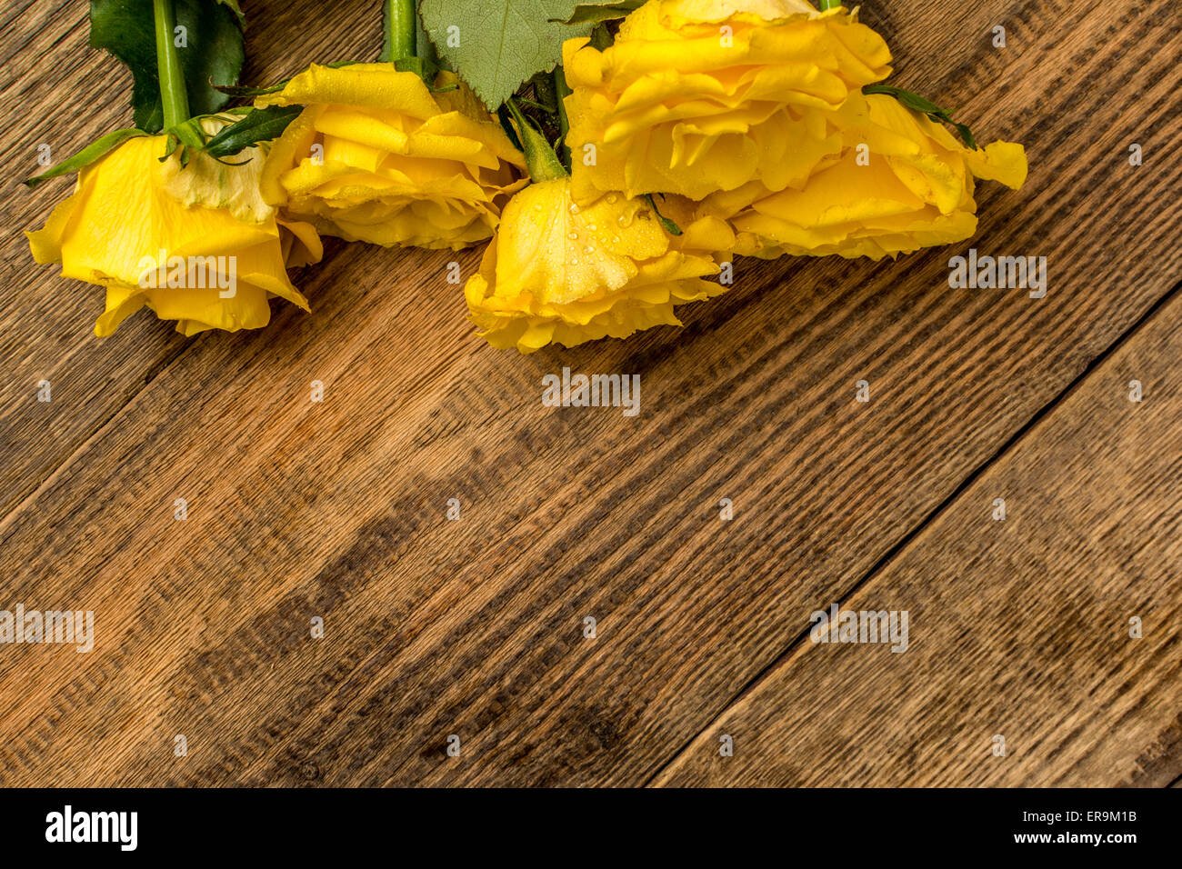 Flowers yellow roses on wood background photography Stock Photo - Alamy