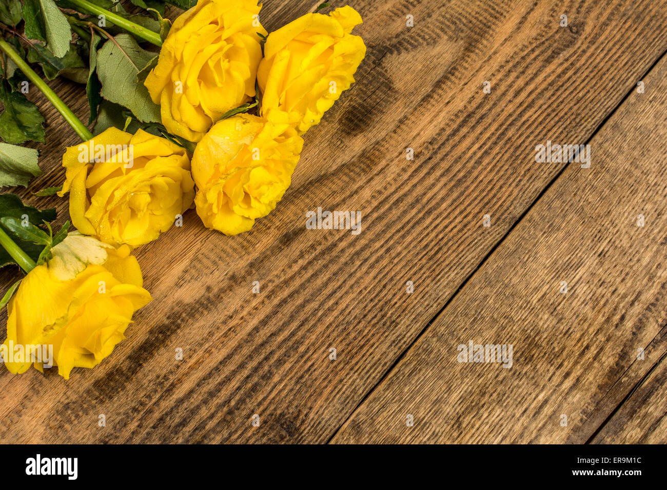 Flowers yellow roses on wood background photography Stock Photo - Alamy